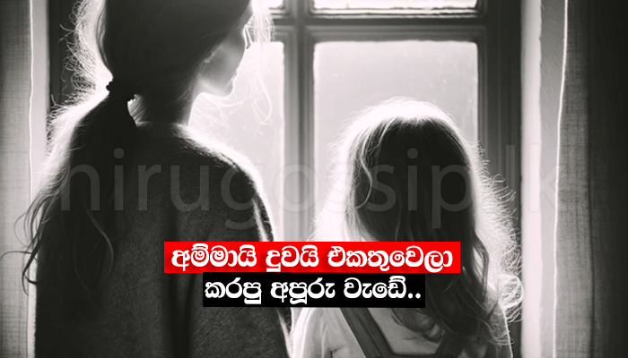අම්මායි දුවයි එකතුවෙලා කරපු අපූරු වැඩේ - What A Wonderful Work Mother ...