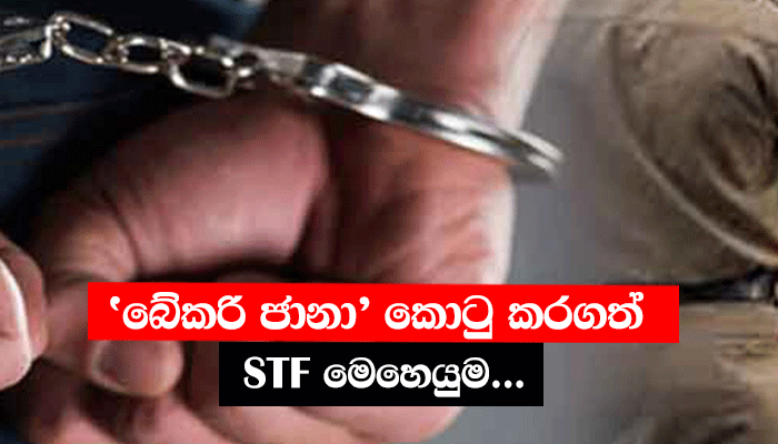 "බේකරි ජානා" කොටු කර ගත් STF මෙහෙයුම... - "Bakery Jana" - Hiru Gossip ...