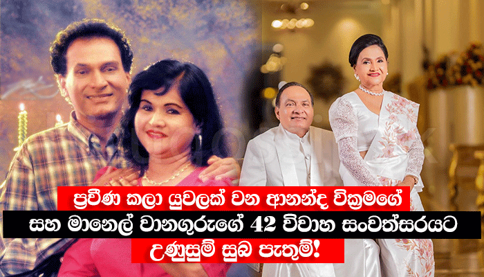 ප්‍රවීණ කලා යුවලක් වන ආනන්ද වික්‍රමගේ සහ මානෙල් වානගුරුගේ 42 විවාහ ...