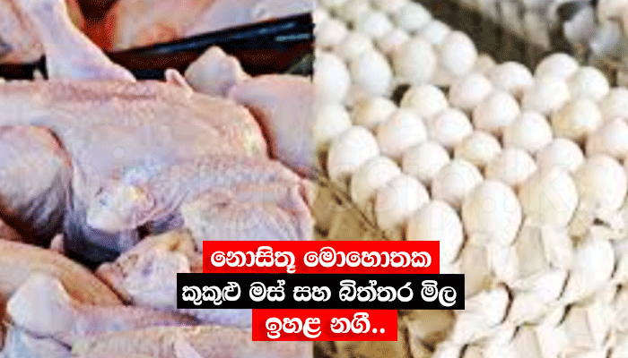 නොසිතූ මොහොතක කුකුළු මස් සහ බිත්තර මිල ඉහළ නගී.. - Egg And Chikne Price ...