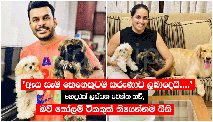අපි හැමෝම ආසයිනෙ සුරතල් සත්තු ඇති කරන්න.
