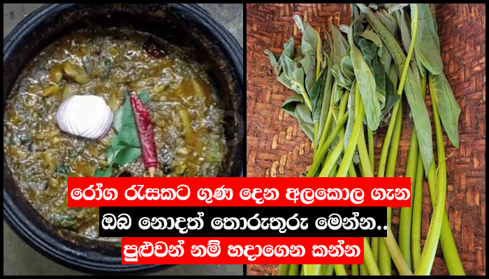 අලකොල නැත්නම් අලගොබ කියන්නේ ඉතාමත් රසවත් විදිහට ව්‍යංජනයක් හදාගන්න ...