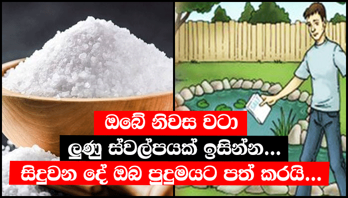 අපි අද කතා කරන්න යන්නේ කොයි ගෙදරකත් තියෙන කවුරුත් පාවිච්චි කරන ලුණු ගැනයි.