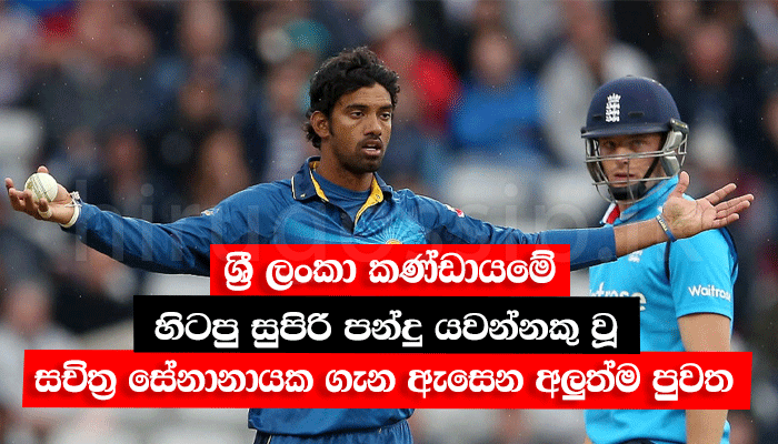ශ්‍රී ලංකා කණ්ඩායමේ හිටපු සුපිරි පන්දු යවන්නකු වූ සචිත්‍ර සේනානායක ගැන ...
