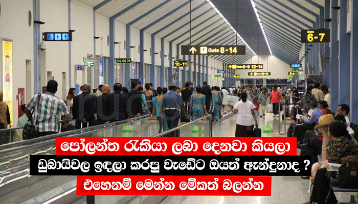පෝලන්ත රැකියා ලබා දෙනවා කියලා ඩුබායිවල ඉඳලා කරපු වැඩේට ඔයත් ඇන්දුනාද ...