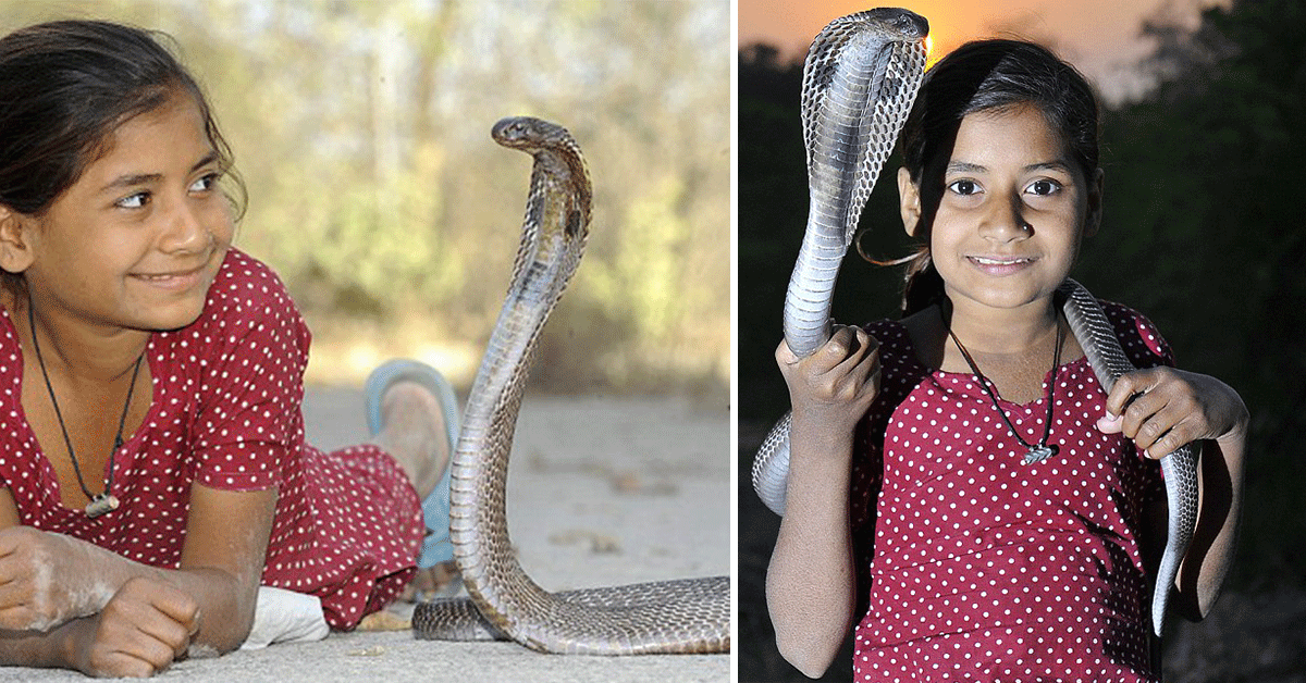 නාගයන් සමඟ එකට නිදන පුංචි කෙල්ලෙක් ගැන ඇඟ කිළිපොලා යන කතාවක් - Photos ...