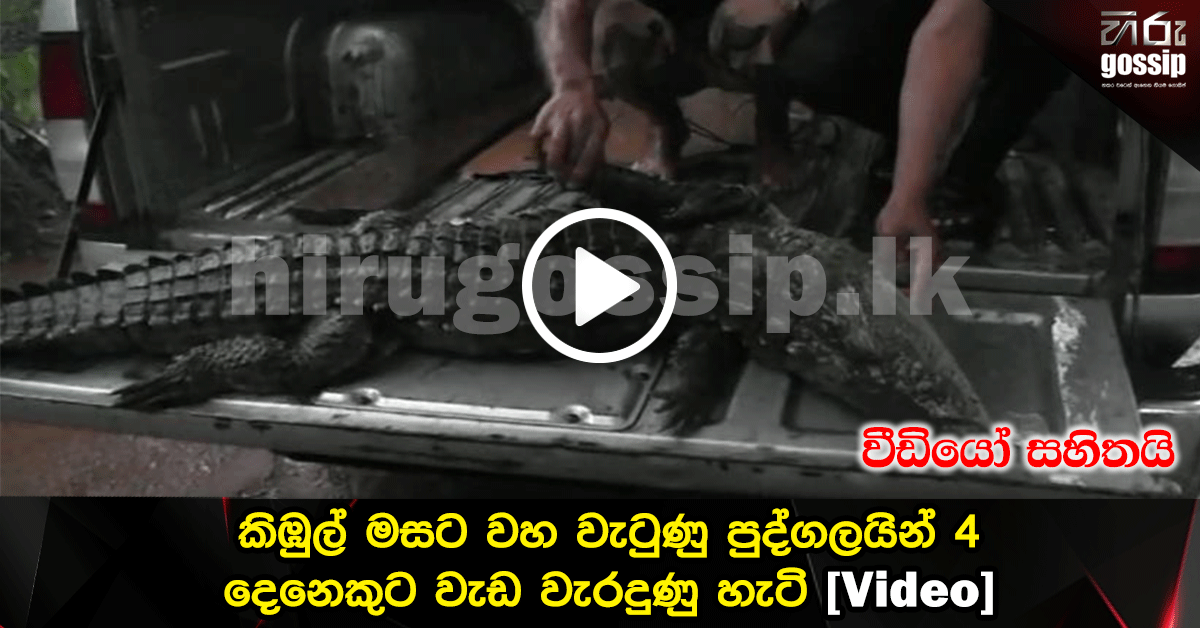 කිඹුල් මසට වහ වැටුණු පුද්ගලයින් 4 දෙනෙකුට වැඩ වැරදුණු හැටි - Video ...