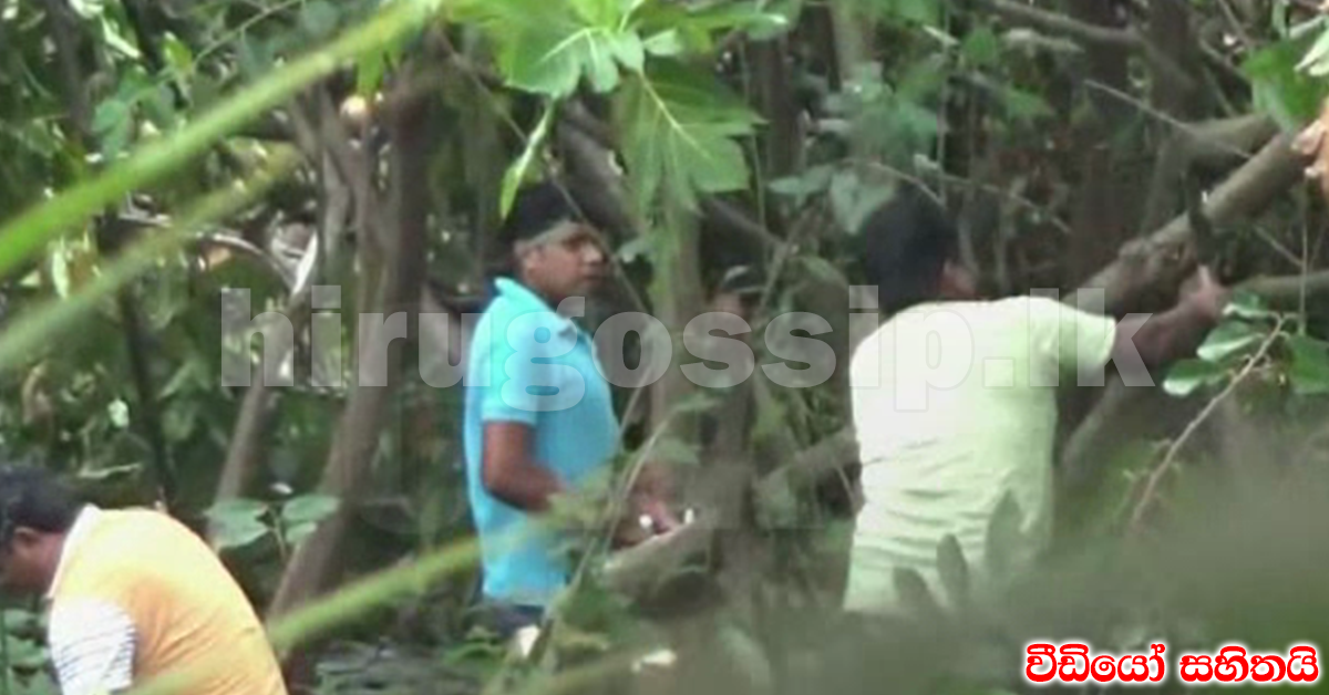 දේශපාලනඥයන්ගේ අනුදැනුම මත වැනසෙන මුතුරාජවෙල ගැන හිරු CIA අනාවරණය ...
