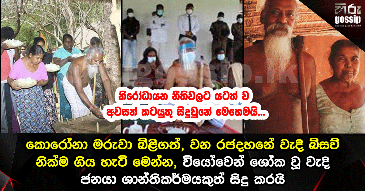 කොරෝනා මරුවා බිළිගත්, වන රජදහනේ වැදි බිසව් නික්ම ගිය හැටි මෙන්න ...