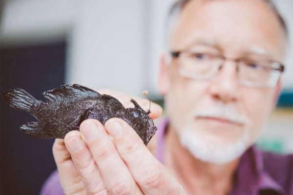 ලොව ප්‍රථම වරට කකුල් වලින් ඇවිදගෙන යන අරුම පුදුම මාළුවෙකු හමුවෙයි ...