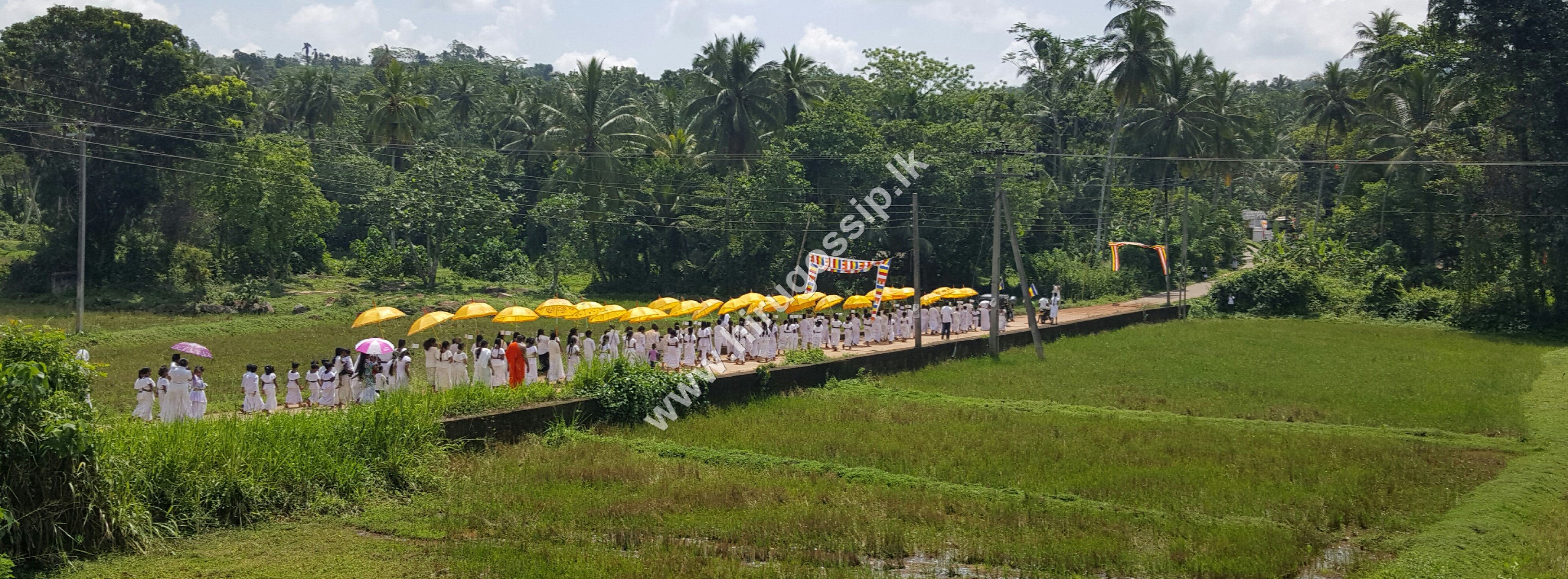 වනාන්තර විනාශ කරන මිනිසුන් ඉන්න රටේ අනාගතය වෙනුවෙන් පැළ බෙදාහරින වෛද් ...