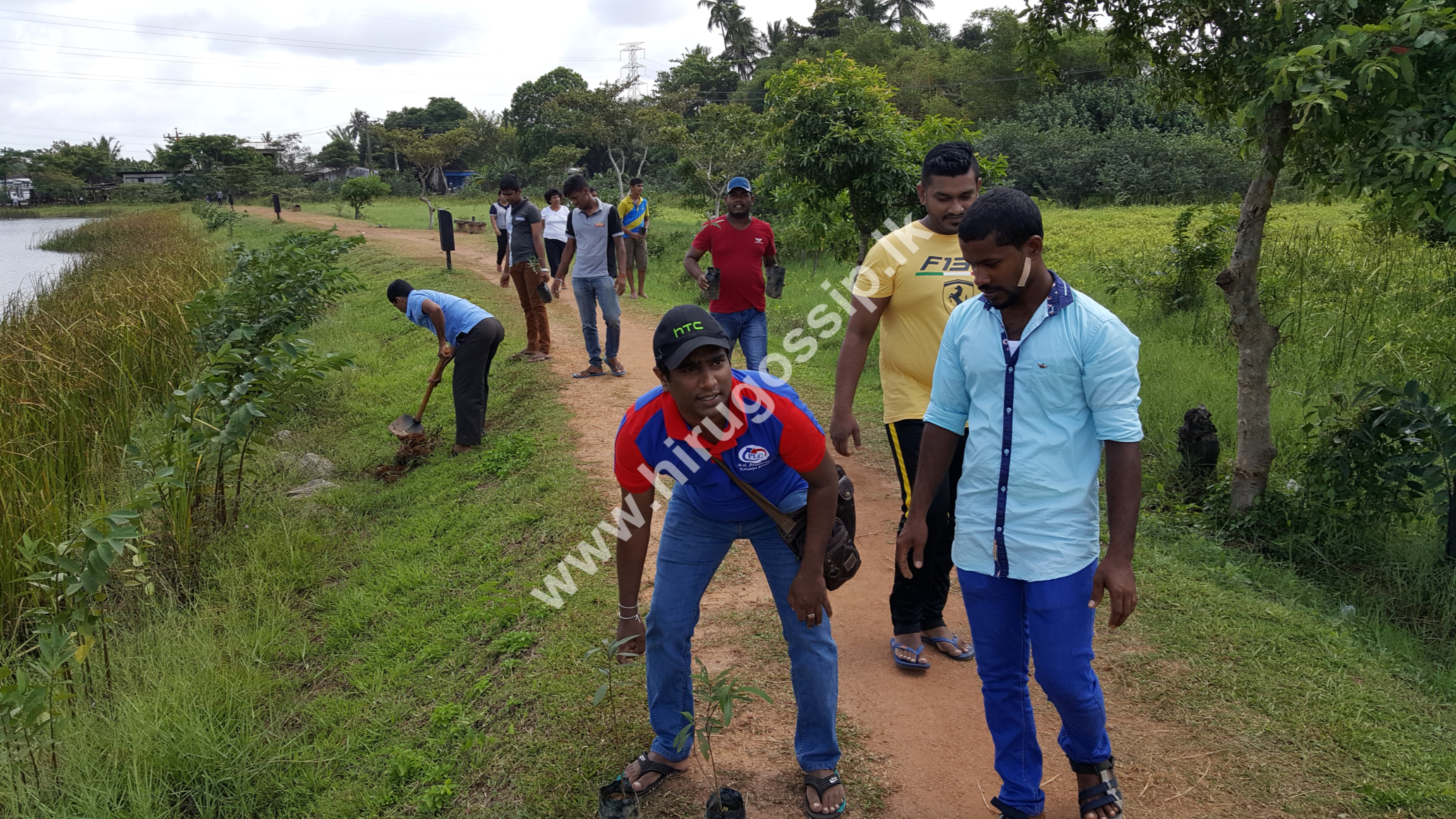 වනාන්තර විනාශ කරන මිනිසුන් ඉන්න රටේ අනාගතය වෙනුවෙන් පැළ බෙදාහරින වෛද් ...