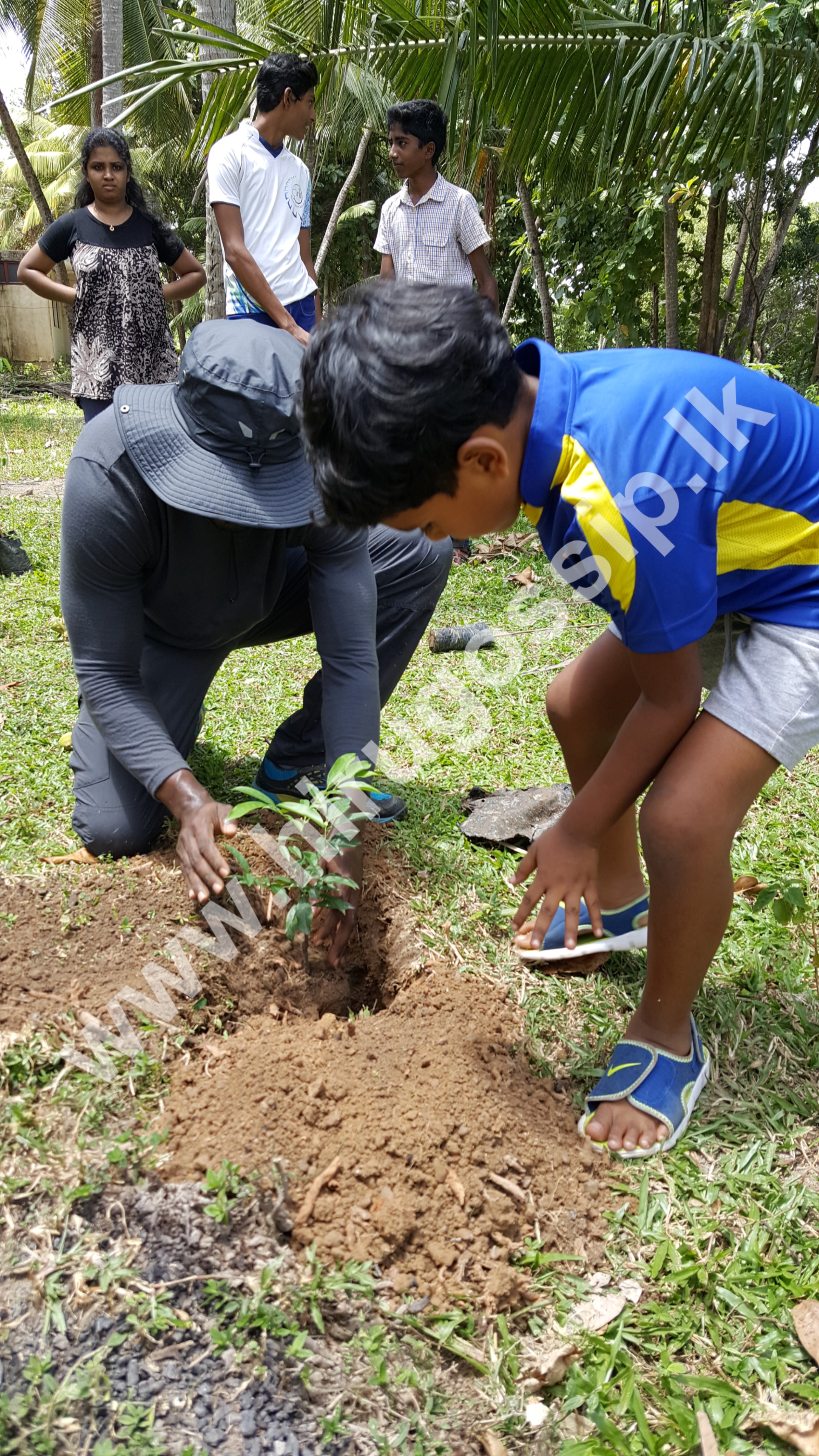 වනාන්තර විනාශ කරන මිනිසුන් ඉන්න රටේ අනාගතය වෙනුවෙන් පැළ බෙදාහරින වෛද් ...