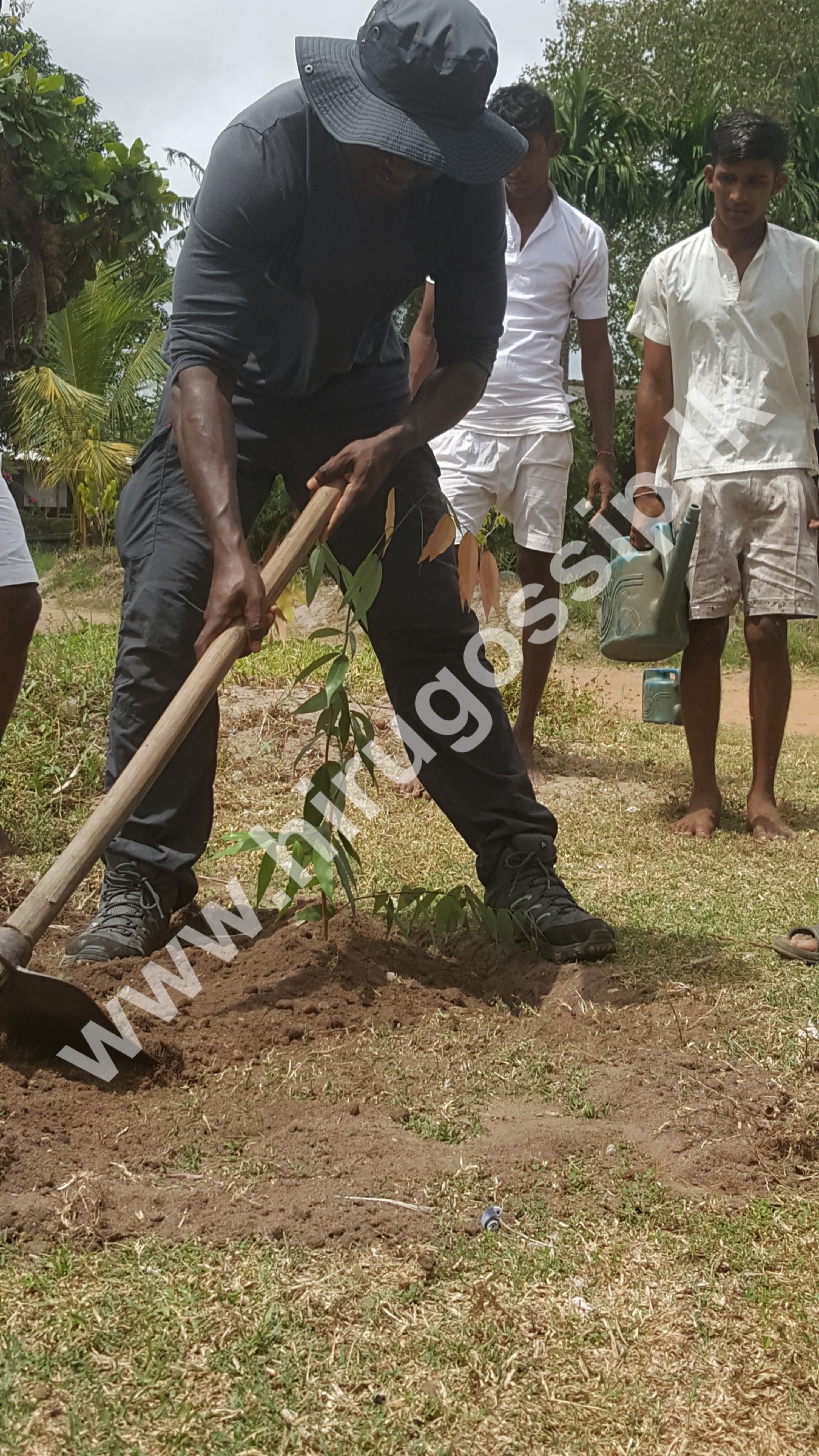 වනාන්තර විනාශ කරන මිනිසුන් ඉන්න රටේ අනාගතය වෙනුවෙන් පැළ බෙදාහරින වෛද් ...