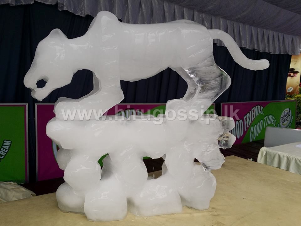 වසන්ත උදානයට සීතල නුවරඑළිය අයිස් කැට වලින් හැඩවුණු හැටි - Photos ...