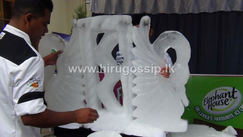 වසන්ත උදානයට සීතල නුවරඑළිය අයිස් කැට වලින් හැඩවුණු හැටි - Photos ...