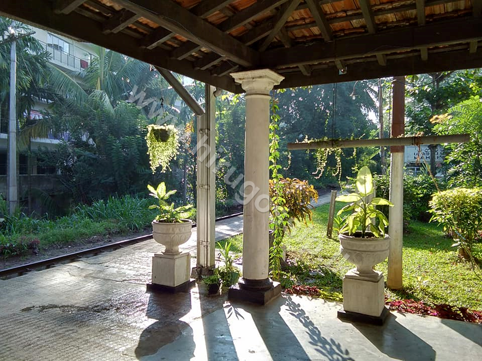 "මල්පැළ උගුල්ලා දැමීමෙන්, මල් පෝච්චි කඩමින්, කුණු ගෙනැවිත් දමමින් මා හට ...