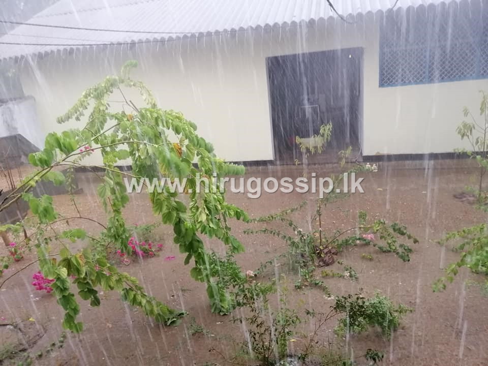 මාස 6ක් පුරා පැවැති නියඟය නිමා කරමින් පොළොන්නරුවට වැටුණු අයිස් වැස්ස ...
