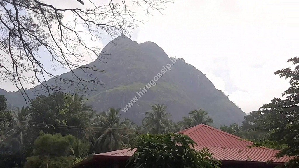 නාඋල - අරංගල පර්වතය තරණය කරන්න ගිහින් දින තුනක් අතුරුදන්ව සිටි සරසවි ...