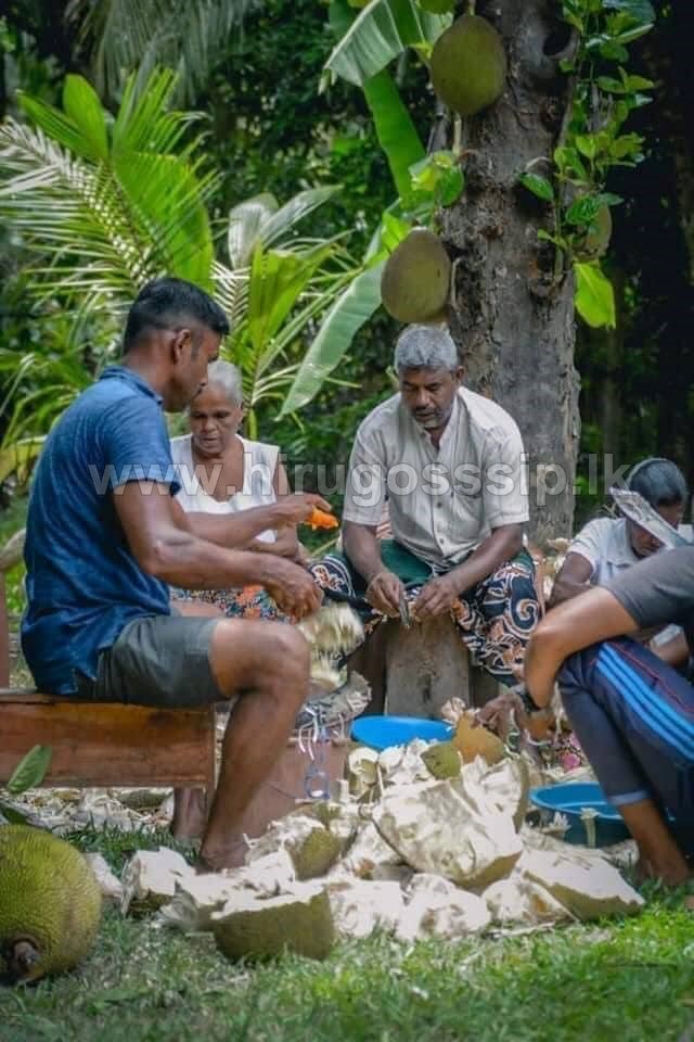 මෙව්වනේ අප්පා දන්සල් කියන්නේ...!” - රටම කතා කරන අමුතුම විදිහේ දන්සල ...