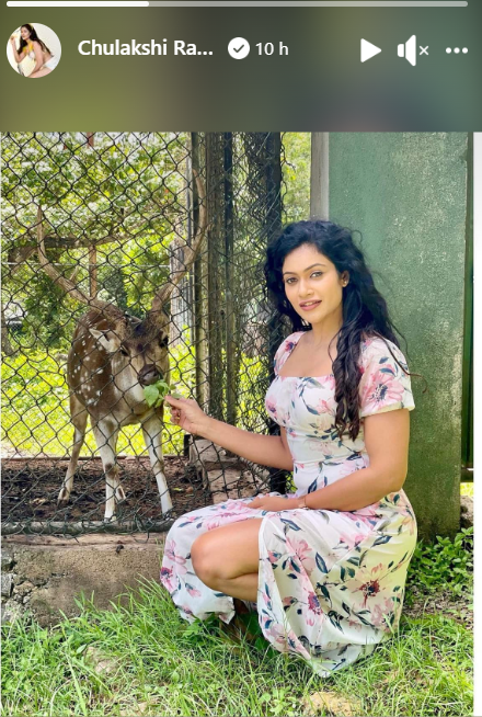 සත්තුන්ට ආදරේ කරන්න, හැමෝටම බෑ... චුලක්ෂිගේ ආදරණීය යාළුවෝ - Photos ...