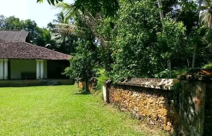 "රජ කුමරුට දැක ගැනීමට වුවමනා වුණේ හොඳින් වැඩුණ අඟපසඟ ඇති තරුණ ...