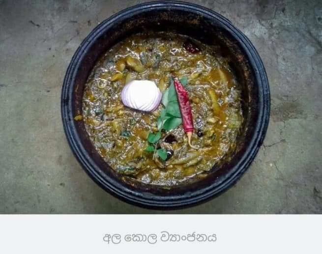 රෝග රැසකට ගුණ දෙන අලකොල ගැන ඔබ නොදත් තොරුතුරු මෙන්න.. පුළුවන් නම් ...