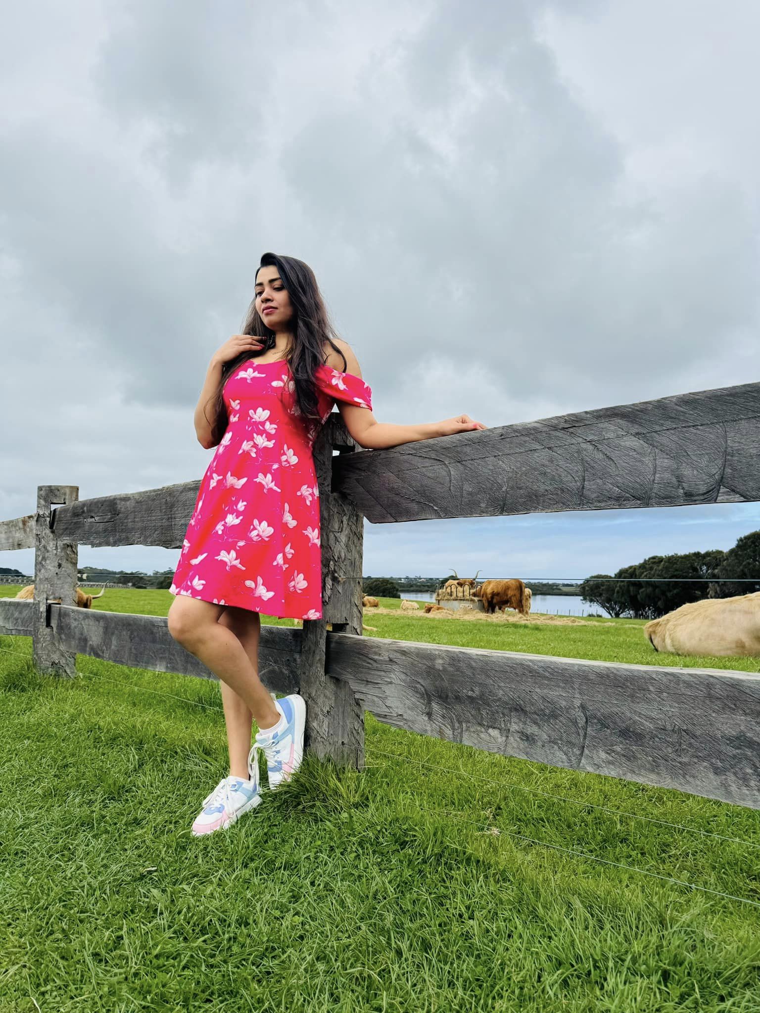 "ආවා ආවා ආවා මගේ රටට මං ආවා.. එහෙනම් ඉක්මනට හමුවෙමු.." ආයෙත් මෙහේ ආවා ...