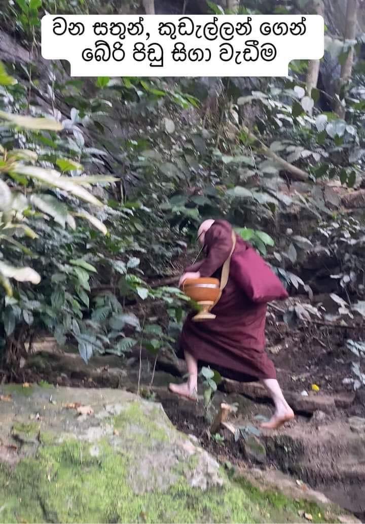 පිඬුසිඟා වඩින ස්වාමීන් වහන්සේලා මේ තරම් දුෂ්කරතාවලට මුහුණ දෙනවා කියලා ...
