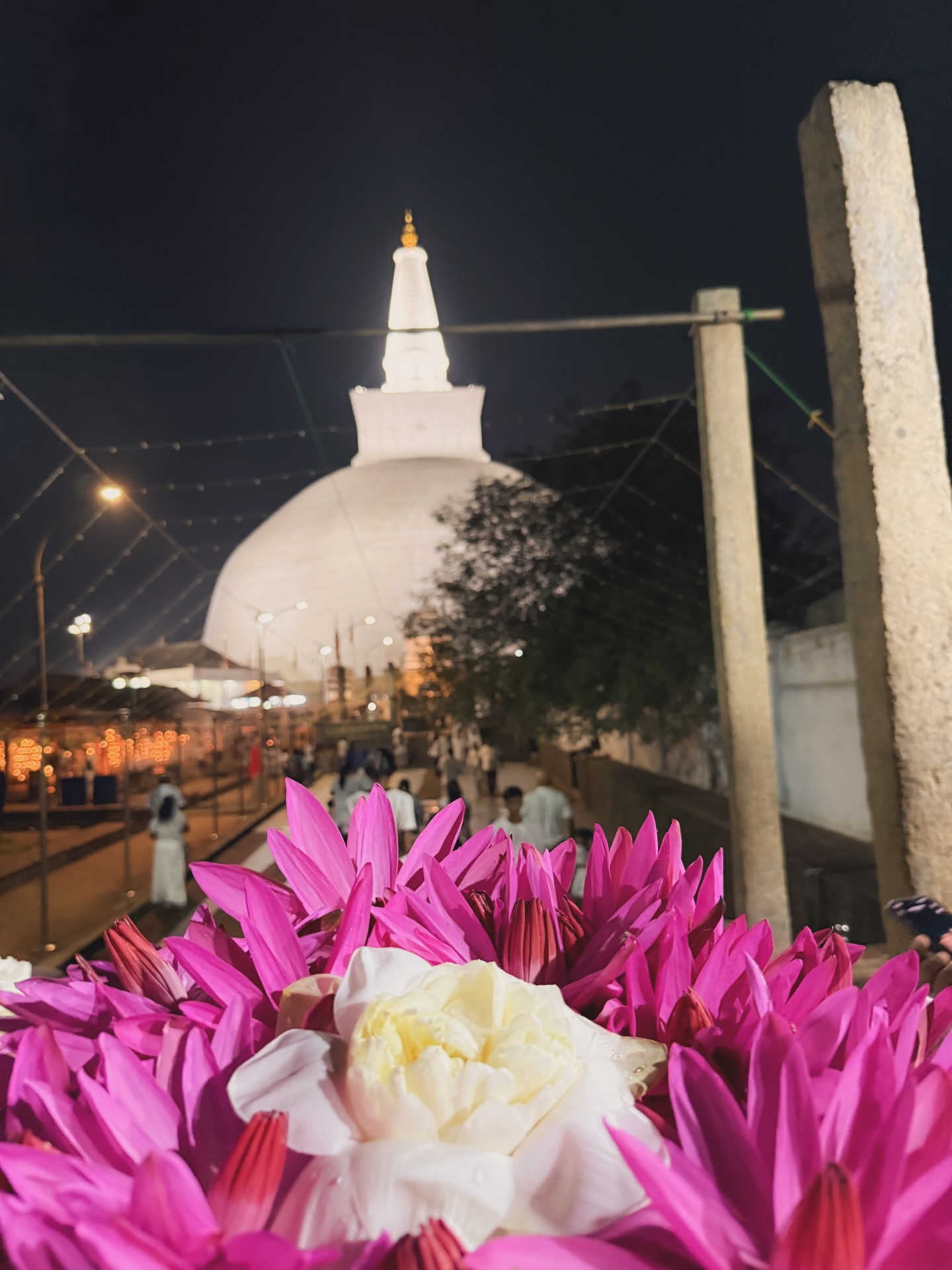 පුංචි පවුලේ මේ ඡායාරූප පෙළ නම් ඇත්තටම හරිම ආදරණීයයි.. - Dinakshi ...