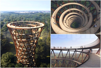 Massive creation constructed in forest in order to feel nature - Photos ...